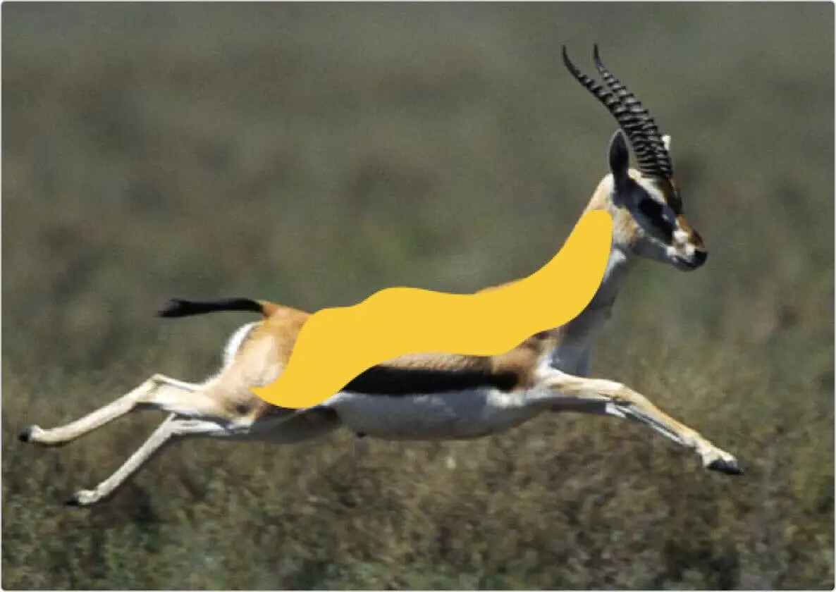 Rerter - We build your ideas from the roots